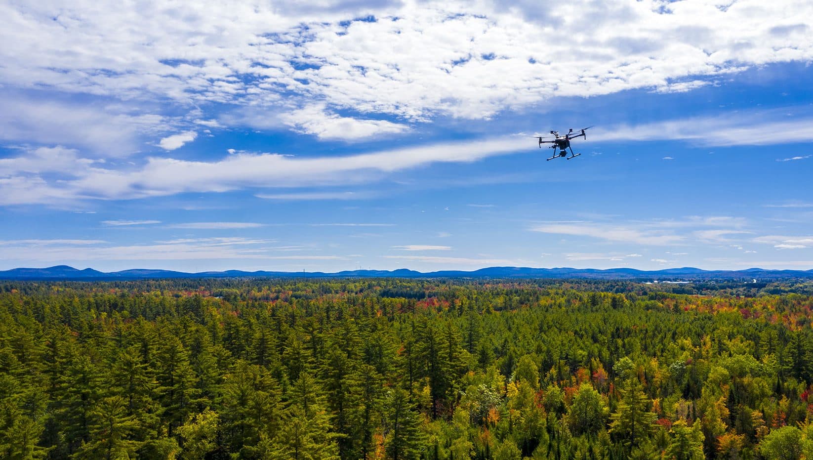 Drone-Forestry-Management - Industrial Electronics Repair And Calibration